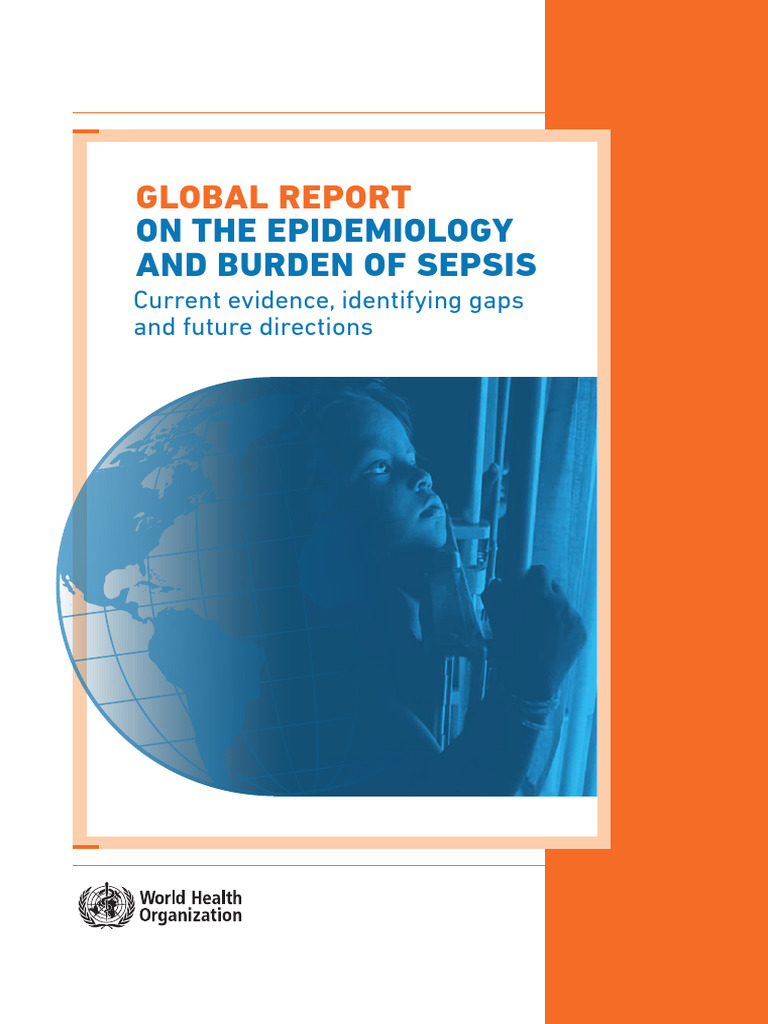 Global Report: On The Epidemiology and Burden of Sepsis | PDF | Sepsis ...