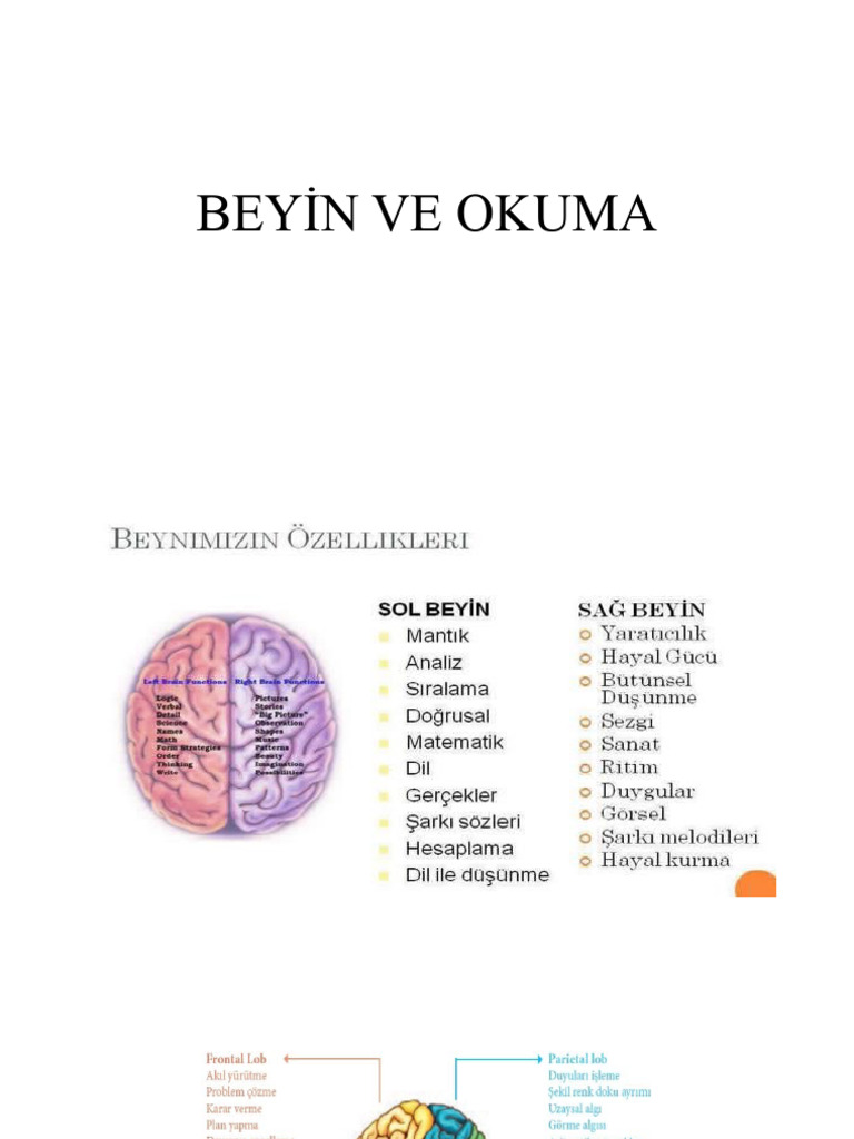 Beyin Ve Okuma | PDF