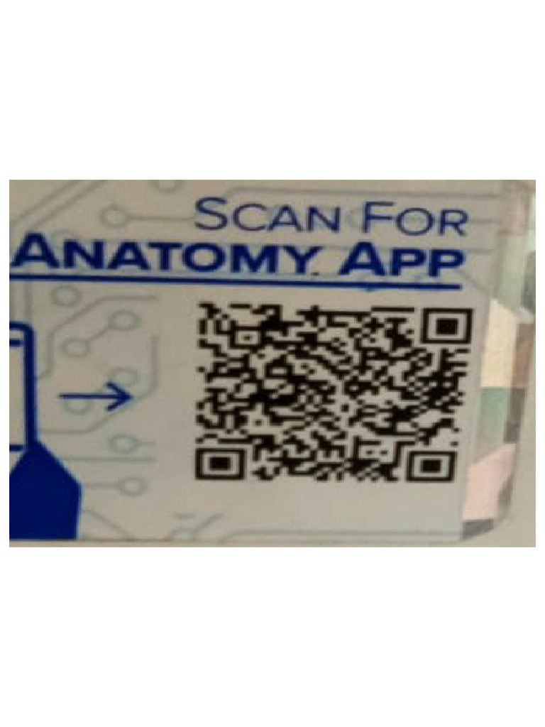 Anatomy QR | PDF