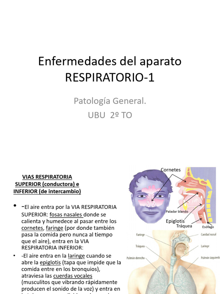 Patologías Respiratorias y Tratamientos | PDF | Influenza | Asma