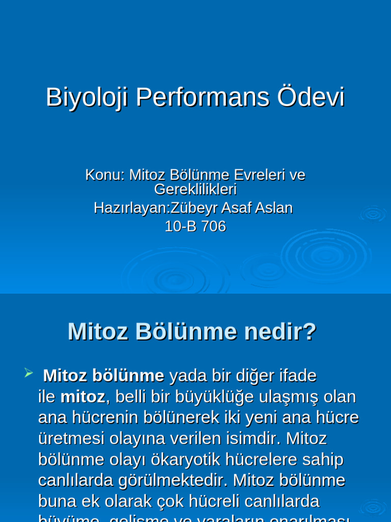 Biyoloji Performans Ödevi | PDF