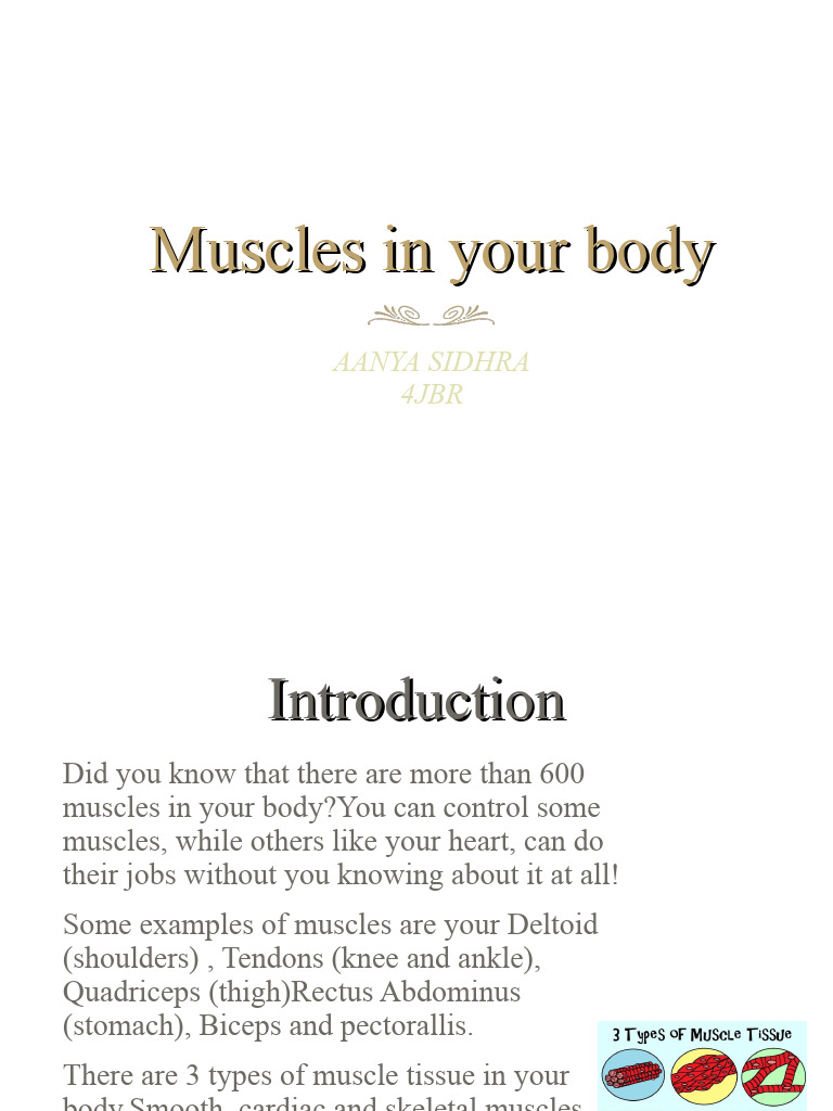 Muscles | PDF