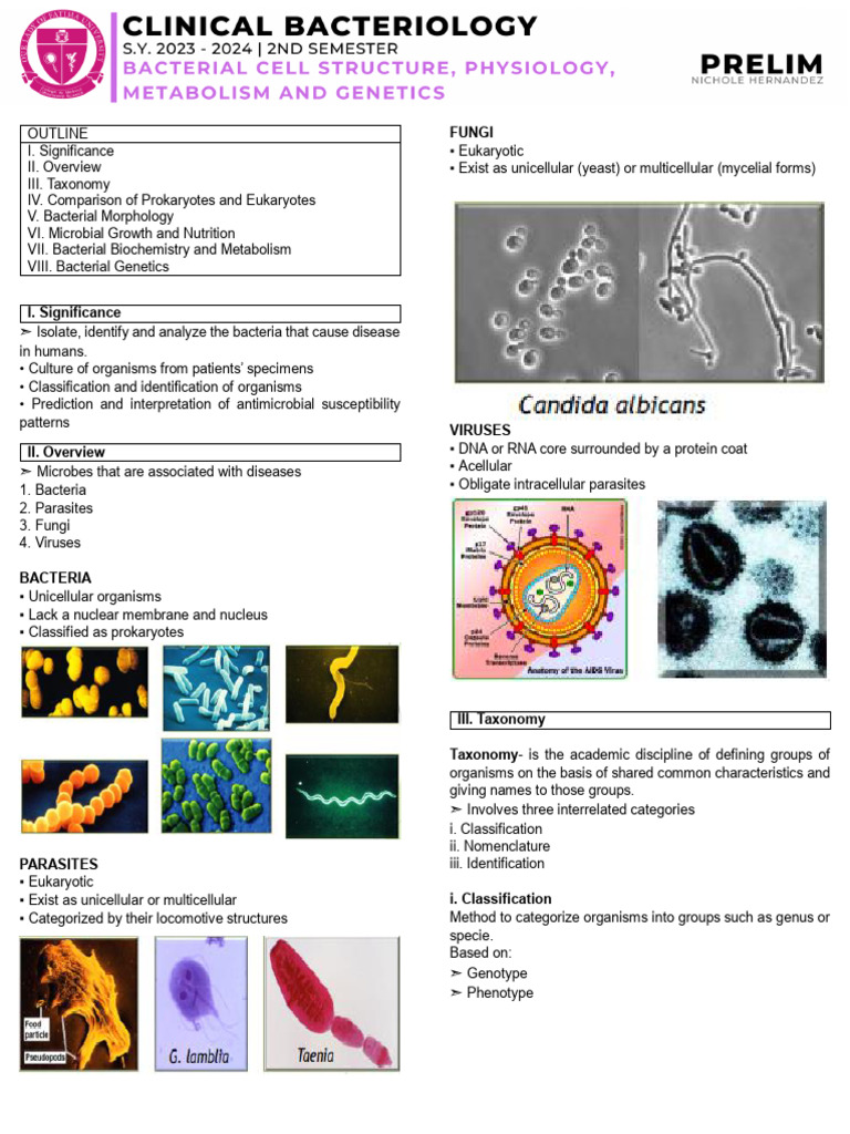 Clinical Bacteriology Lecture (W02) | PDF | Cell (Biology) | Gene