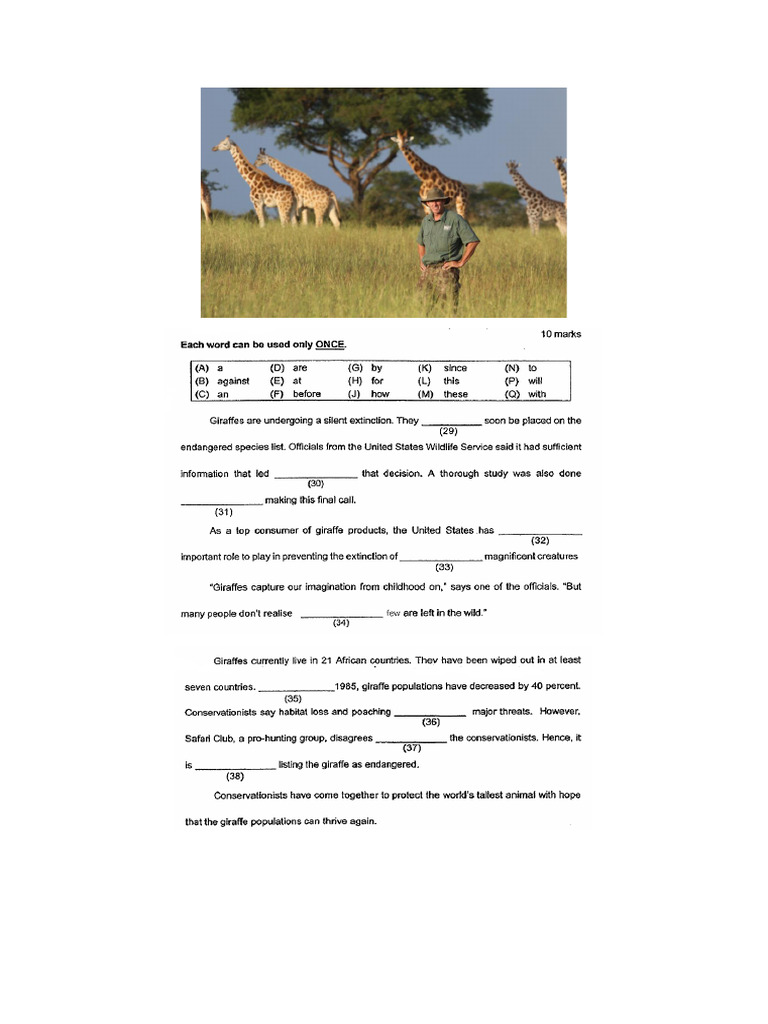 Cloze Passage (Animals) Grade 5-6 | PDF