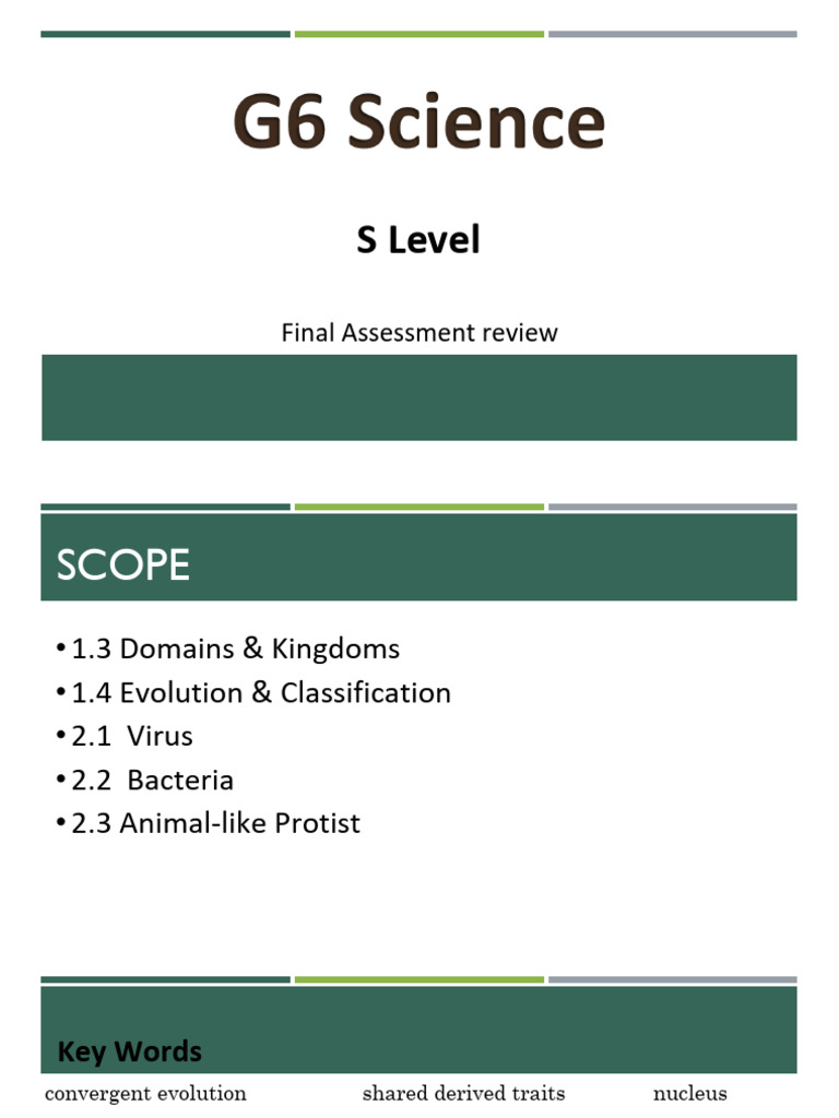 G6S 2023 I - Final Review | PDF | Bacteria | Cell (Biology)