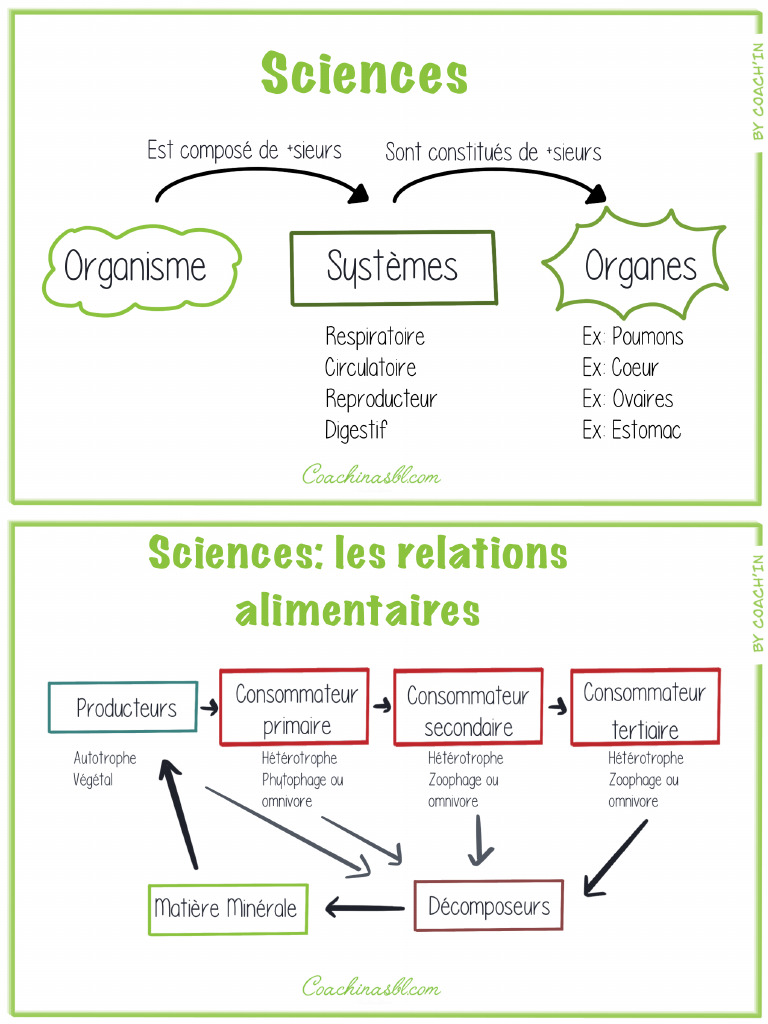Fiches Sciences Ce1d | PDF