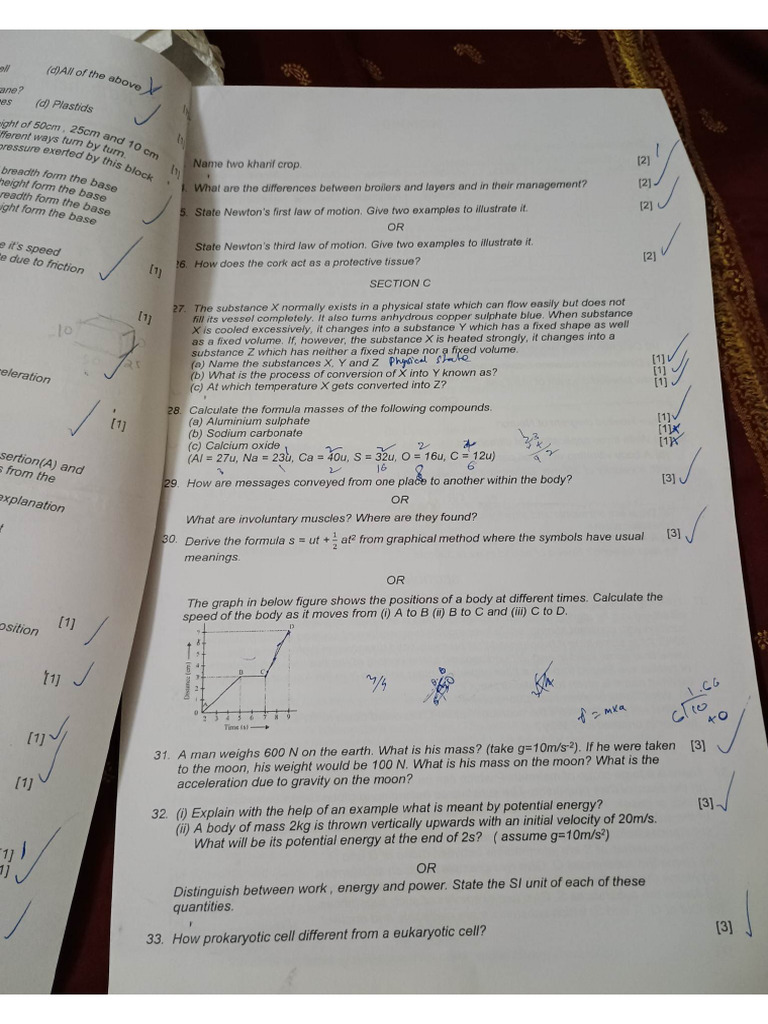 Last Year Science Paper | PDF