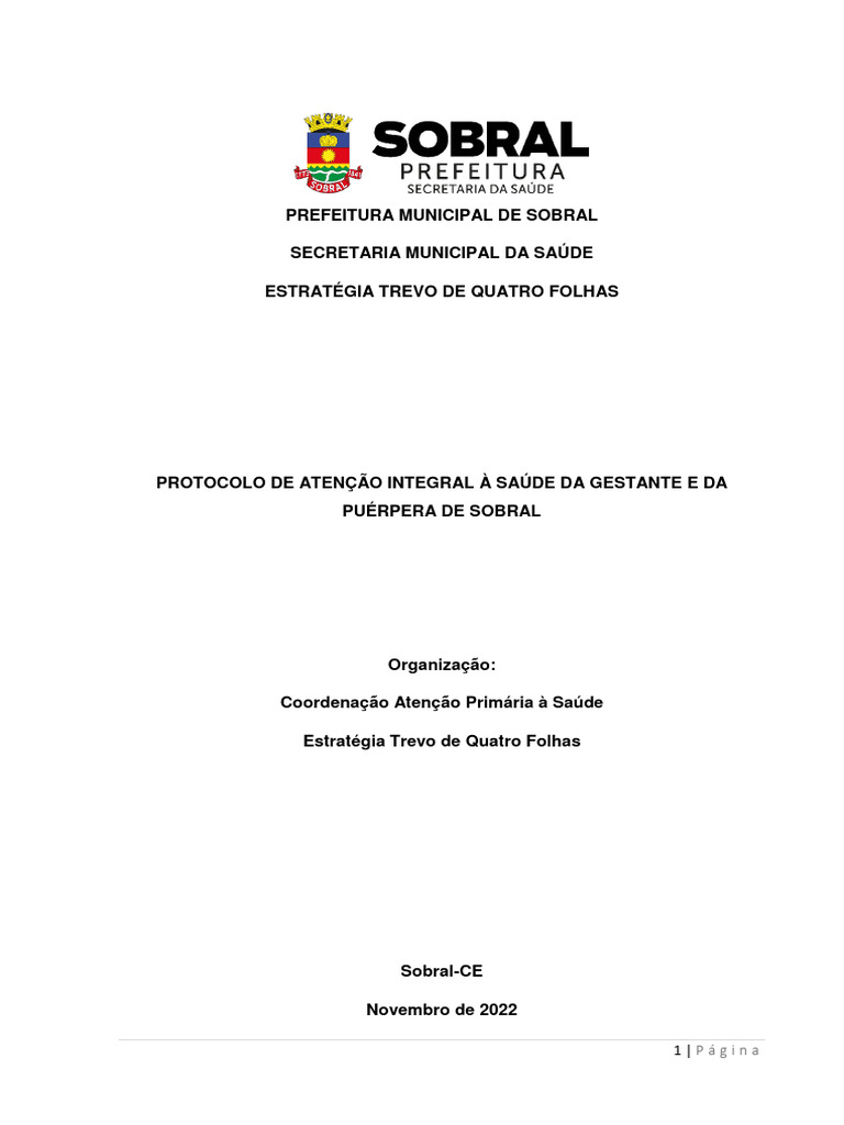 PROTOCOLO de Pré-Natal 2022 | PDF | Gravidez | Saúde mental