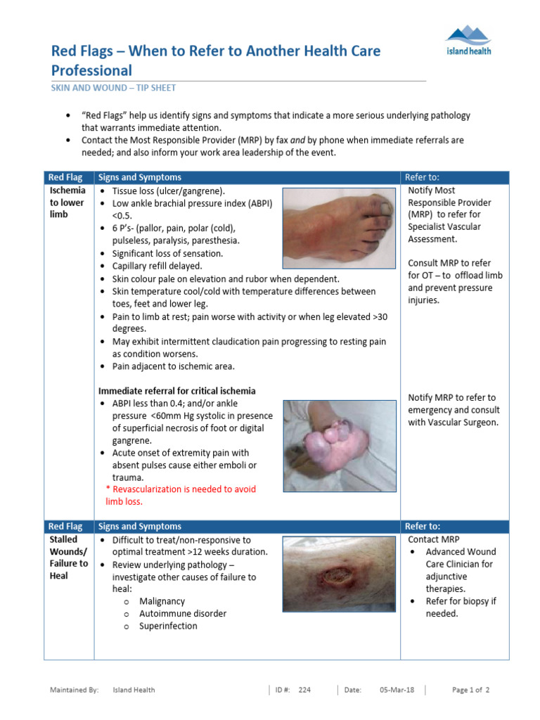 Red Flags When Refer Another Health Care Professional | PDF | Wound | Burn