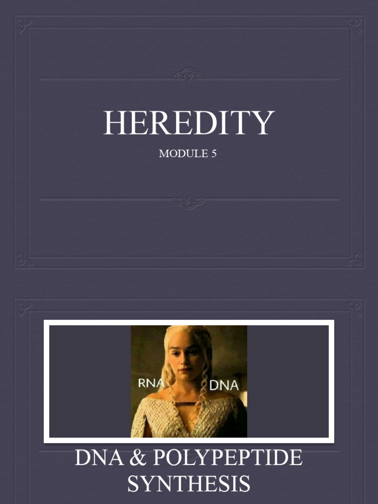 Heredity 3 | PDF | Translation (Biology) | Genetic Code