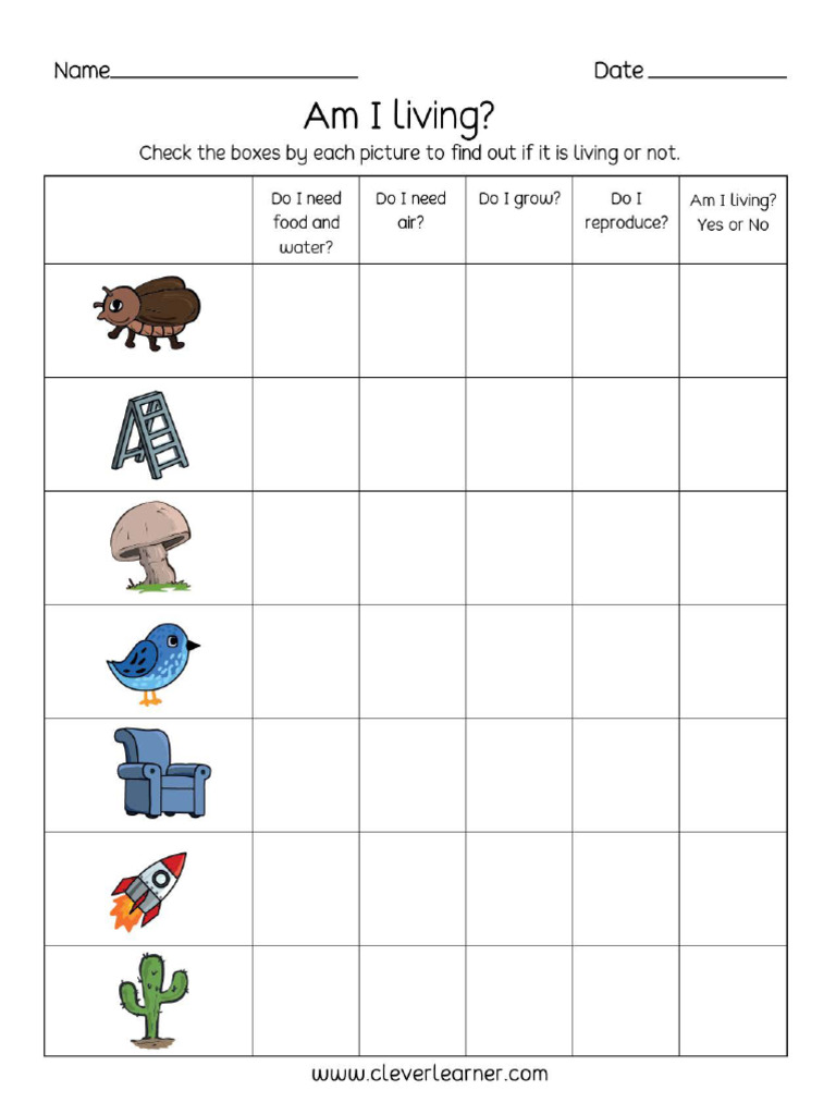 Preschool Living Things Activity | PDF