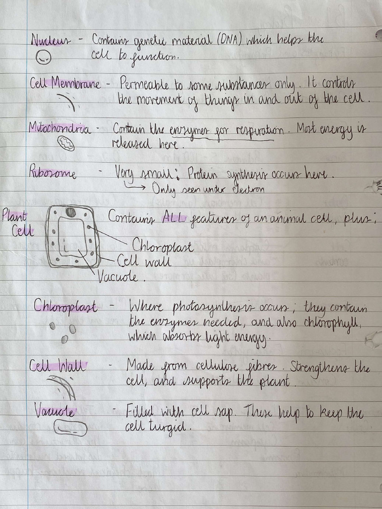GCSE OCR Biology Full Notes - B1 | PDF