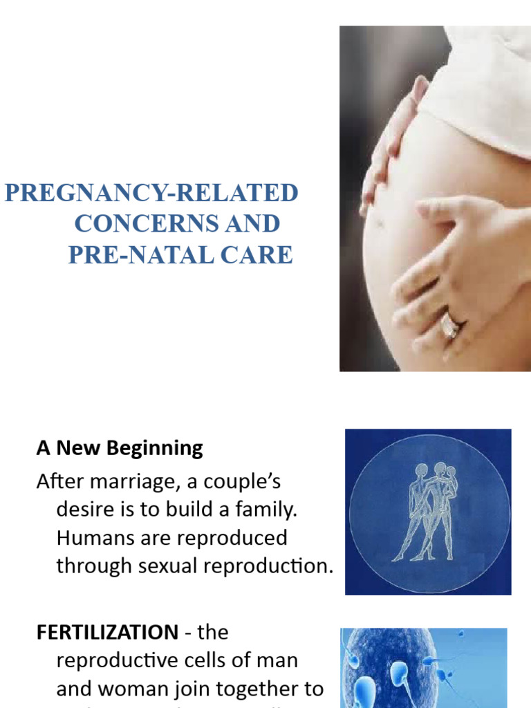 Lesson2 Pregnancyandotherrelatedconcern 201115061810 | PDF | Pregnancy ...