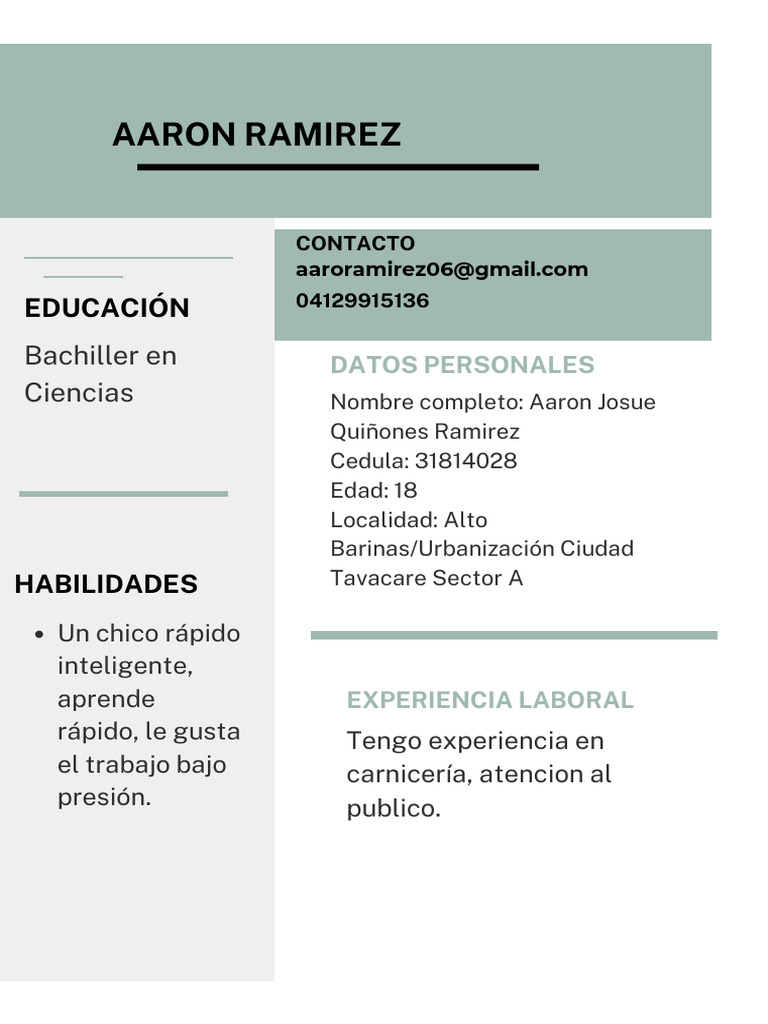 Aaron Curriculum | PDF