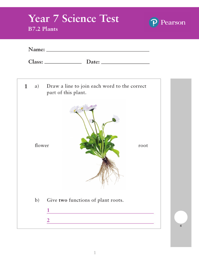 iLS - Science - Y7 - B72 - Test - Set 1 | PDF