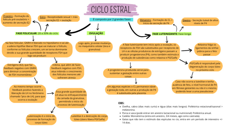 Ciclo Estral - Mapa Mental | PDF | Hormônio luteinizante | Ginecologia