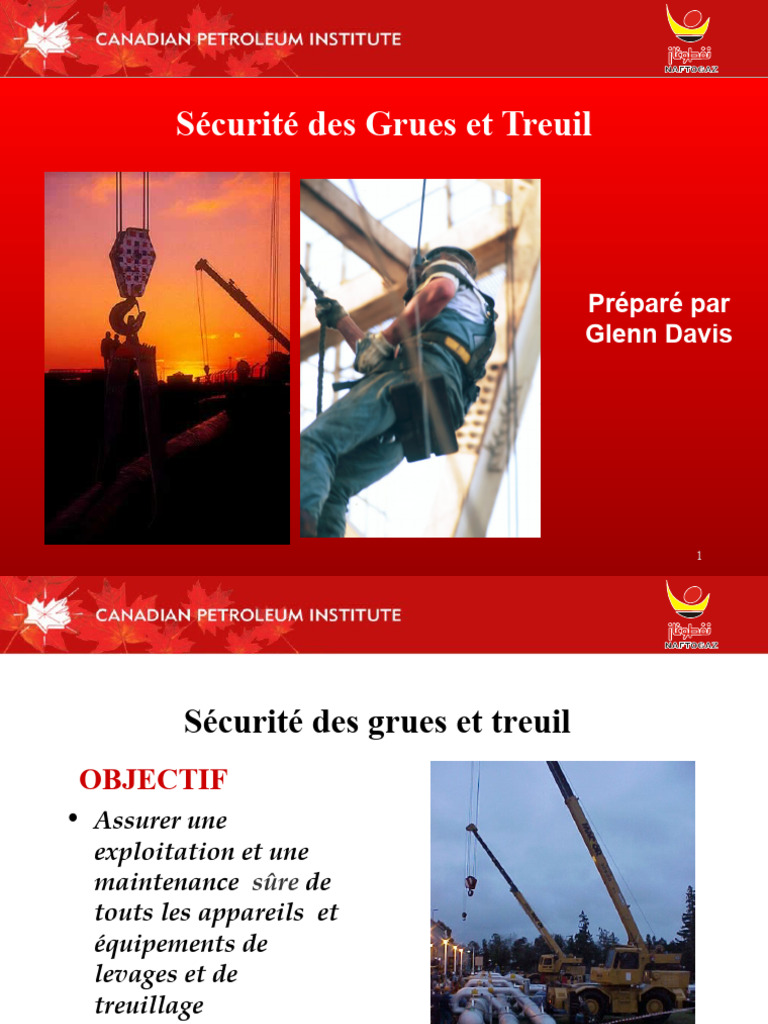 Sécurité Des Grues Et Treui | PDF | Grue (Machine)