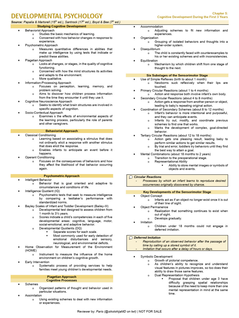 DEVPSYCH 5 - Cognitive Development During The First 3 Years | PDF ...