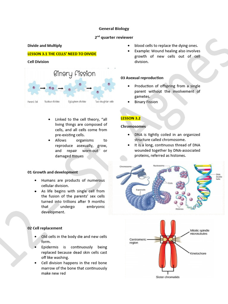General Biology (2nd Quarter Reviewer) | PDF | Meiosis | Mitosis
