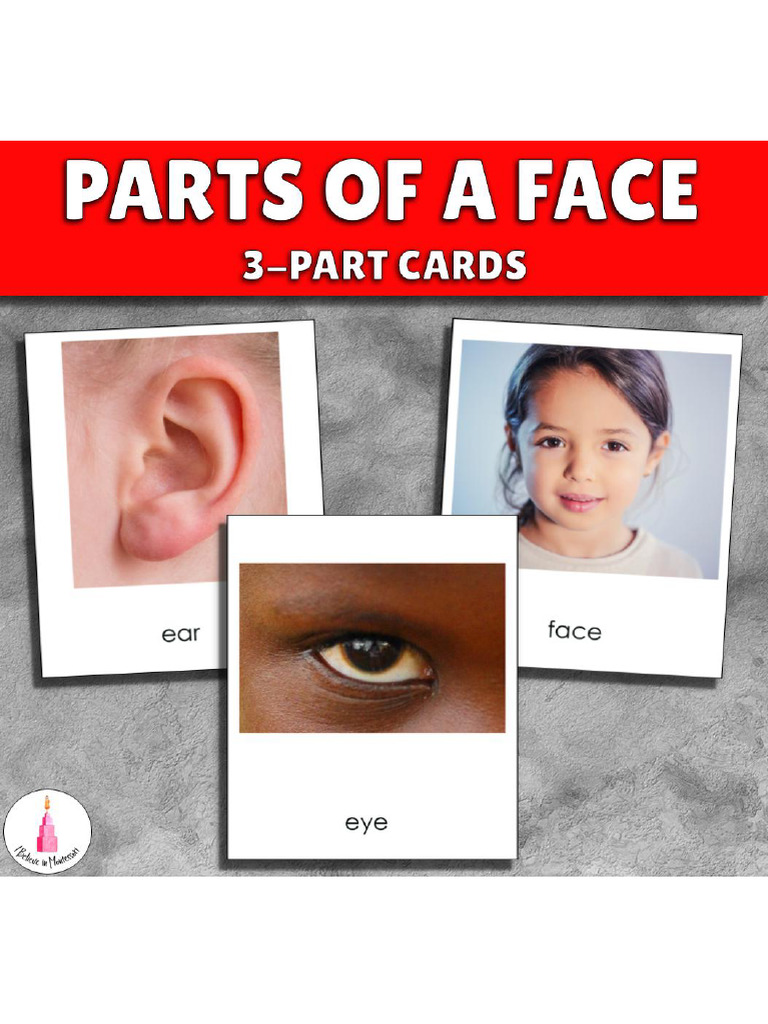 Parts of A Face 3 Part Cards | PDF | Digital Millennium Copyright Act ...