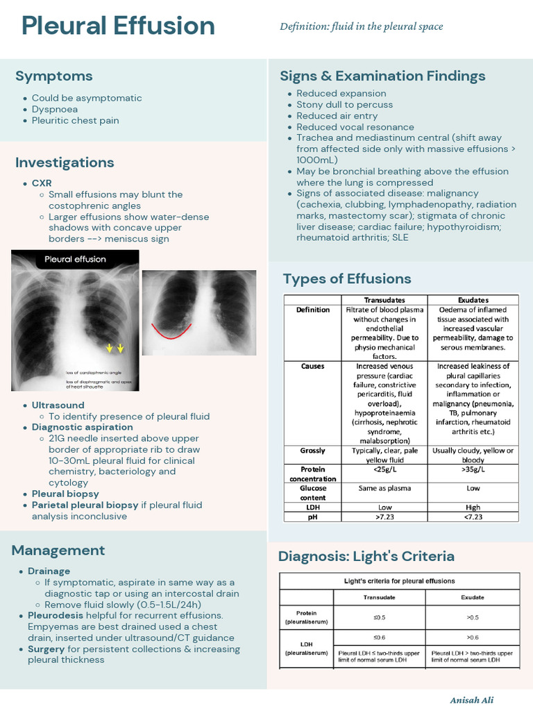 Pleural Effusion Handout | PDF