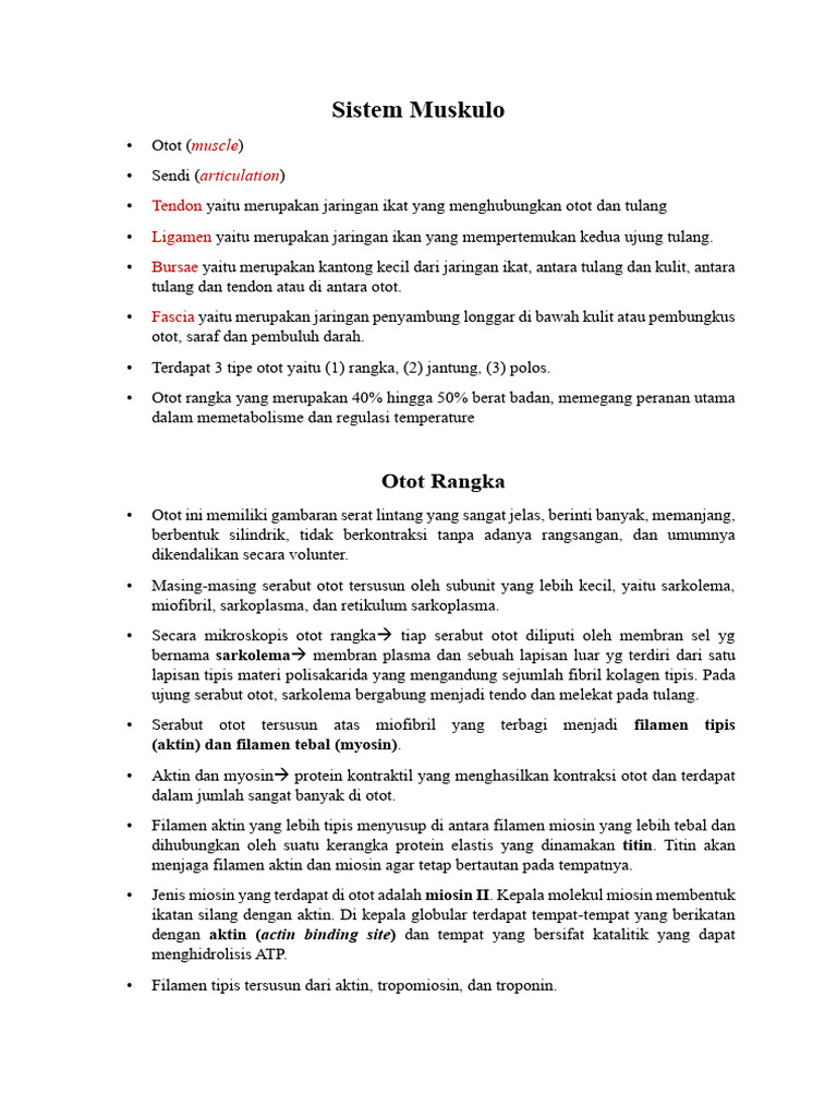 Sistem Muskulo | PDF
