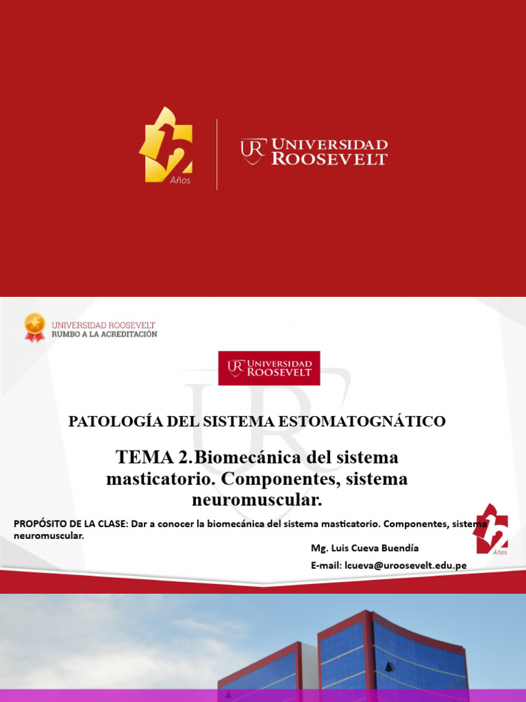 2da CLASE Semana 2 PSE VIRTUAL - Clase Completa 2024-I | Descargar gratis PDF | Cabeza y cuello ...