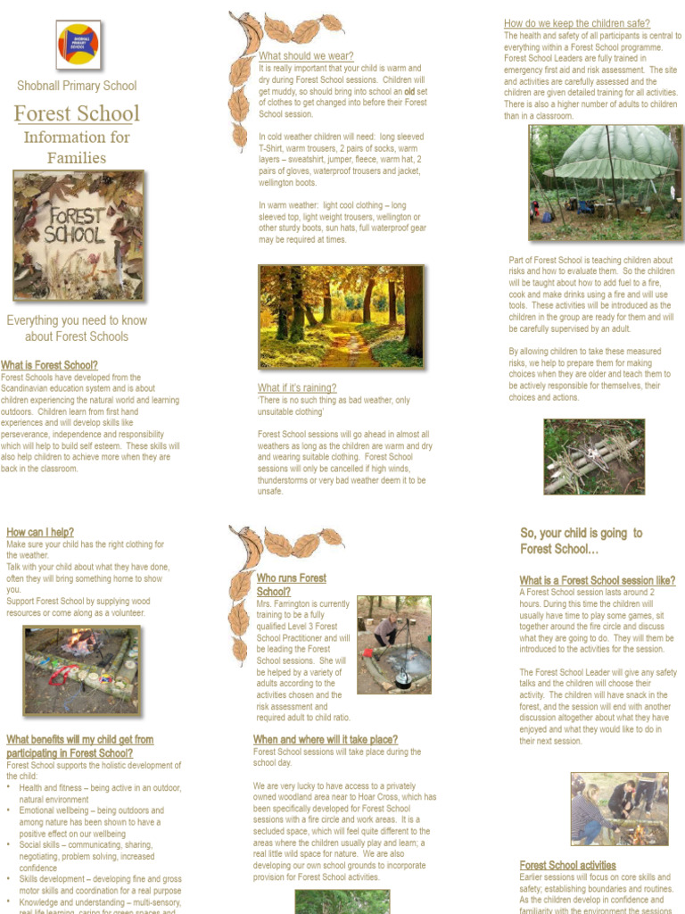 Forest School Information For Families Leaflet Shobnall Primary | PDF ...