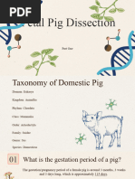 PiG Anatomy | PDF