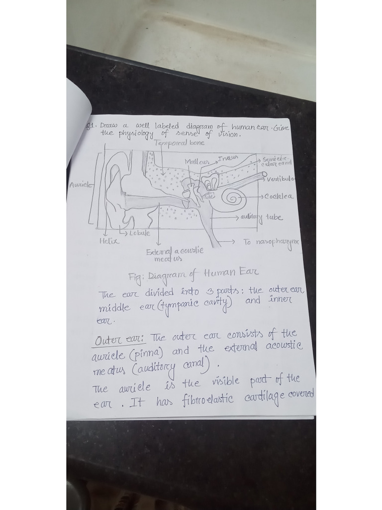 BP 207 P | PDF