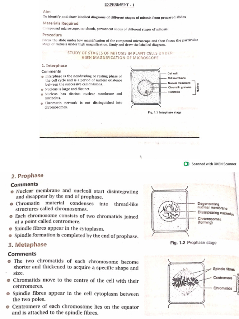 Icse Project PDF Biology | PDF