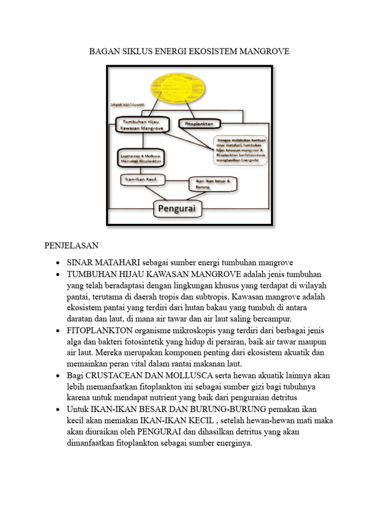 Bagan Siklus Energi Ekosistem Mangrove | PDF