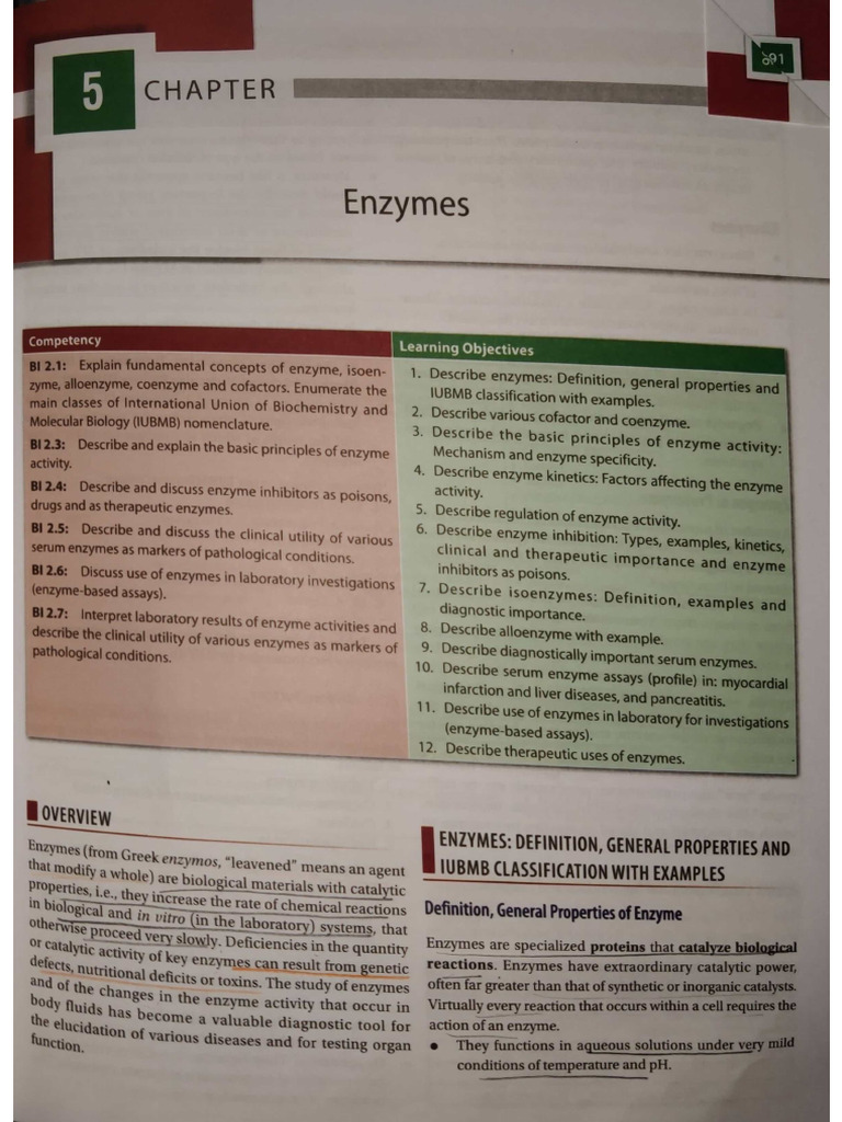 Enzymes | PDF