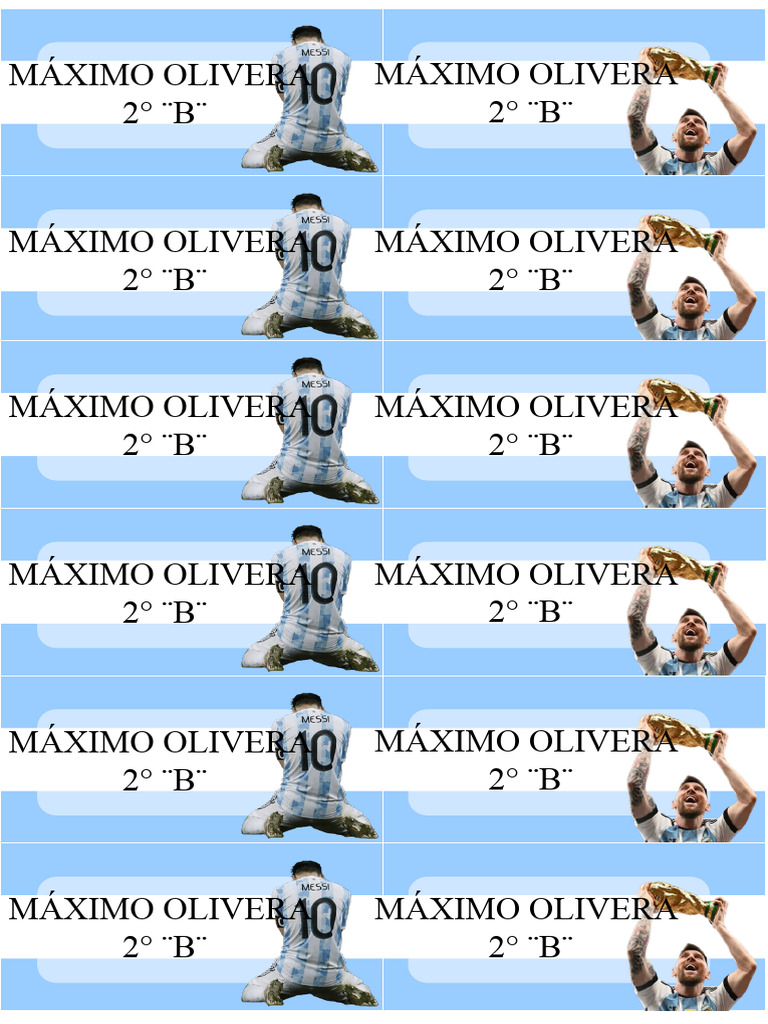 Máximo Olivera 2° B - Resumen | PDF