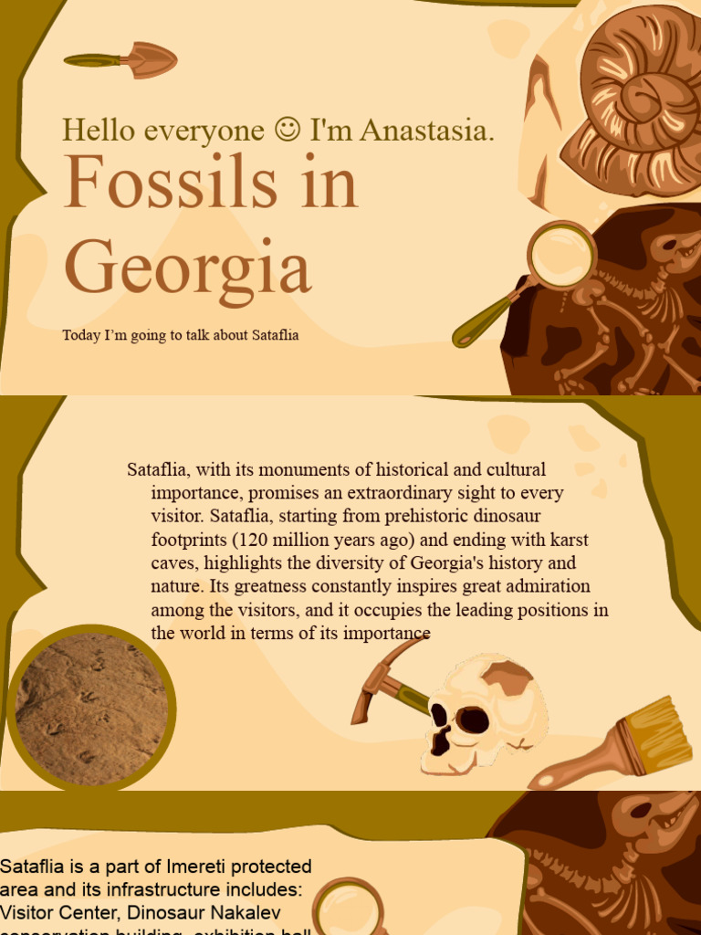 Discover Sataflia's Fossils in Georgia | PDF | Home & Garden