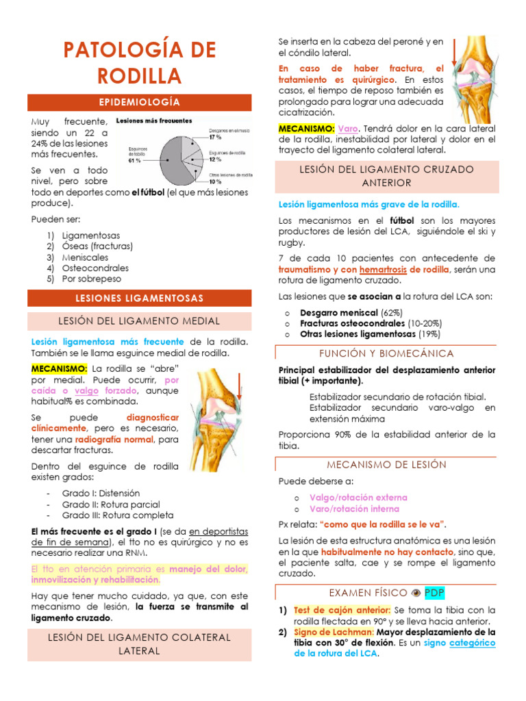 Patología de Rodilla | PDF | Rodilla | Especialidades Medicas