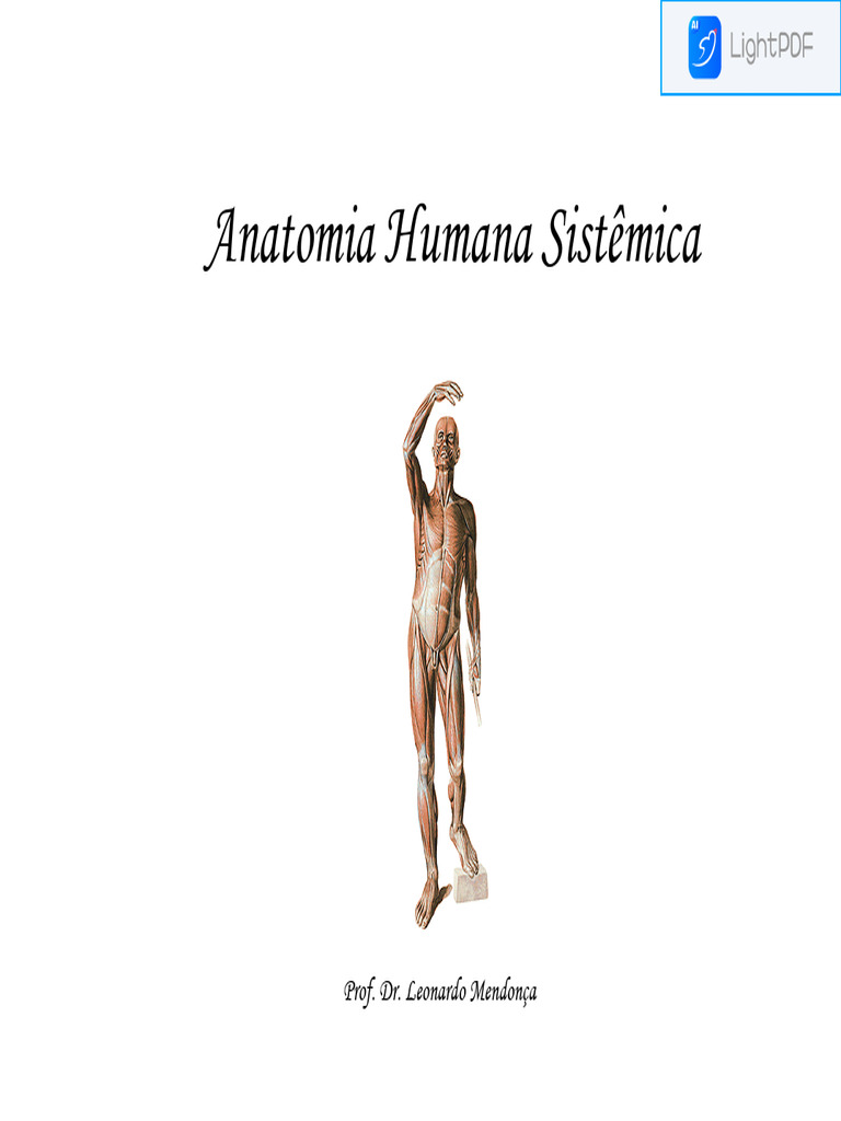 Princípios da Anatomia Humana Sistêmica | PDF | Autoajuda | Ciências e ...