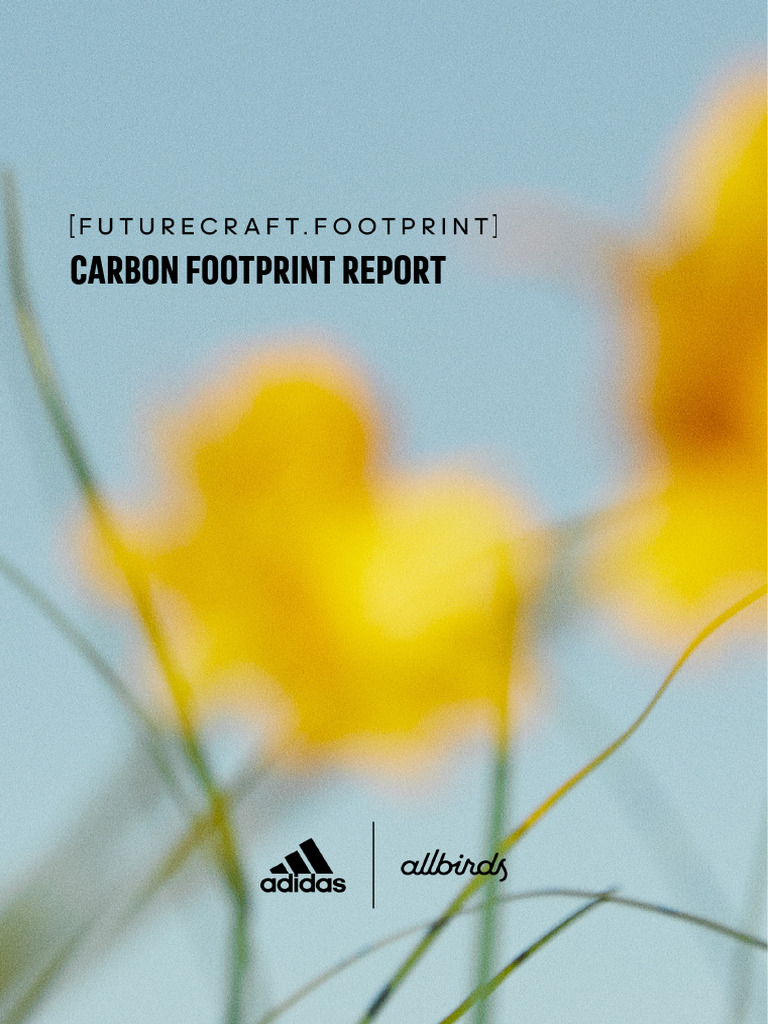ADIDAS_methodology_carbon_footprint_report_FINAL | PDF | Life Cycle ...