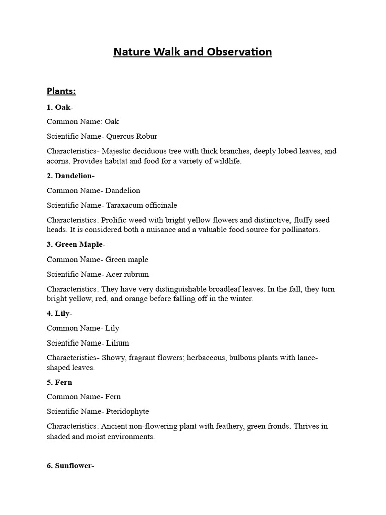 Nature Walk and Observation | PDF | Rosemary | Lilium