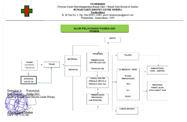 Alur Pelayanan Igd Ponek | PDF