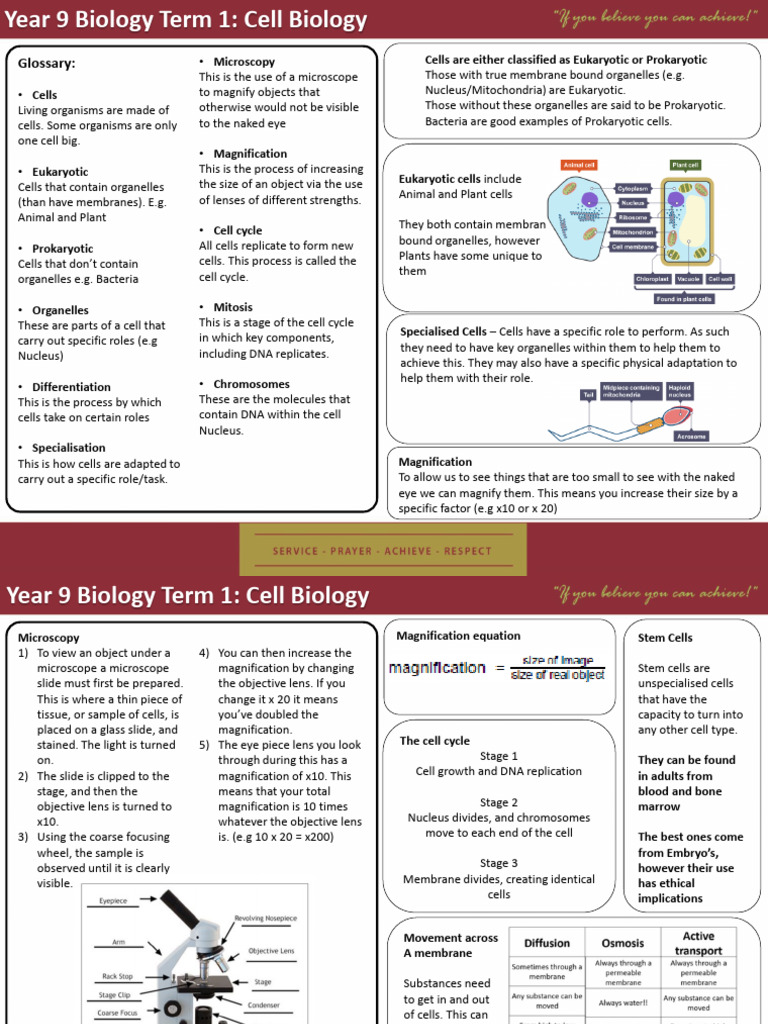 Year 9 GCSE Science Revision Notes | PDF | Radioactive Decay | Reaction ...