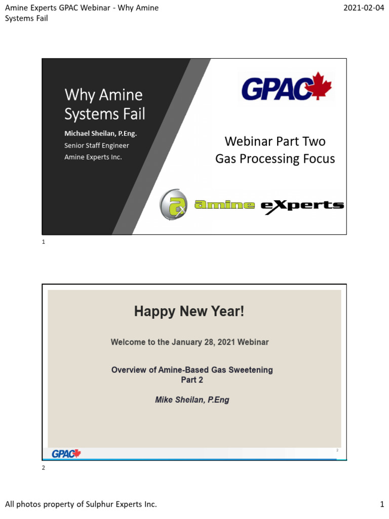 GPAC-Amine-Experts Mike Sheilan Jan 28 2021 | PDF | Gases | Materials