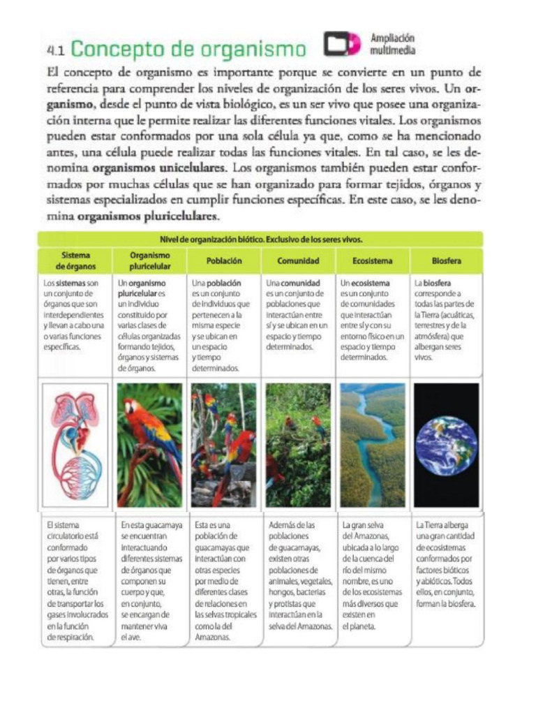 Niveles de Organizacion Biotico | PDF