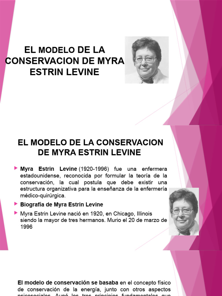Grupo 9 El Modelo de La Conservacion de Myra Estrin | PDF | Enfermería ...