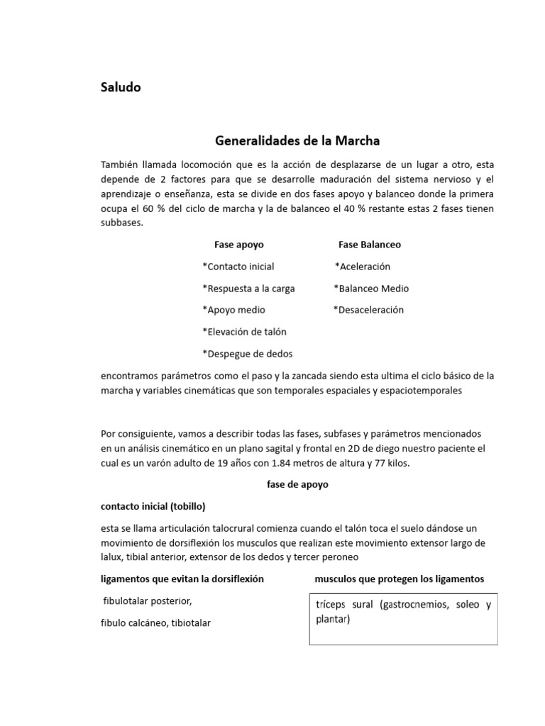 Analisis de Marcha GUION Exposicion | PDF | Tobillo | Rodilla Analisis de Marcha GUION Exposicion | PDF | Tobillo | Rodilla