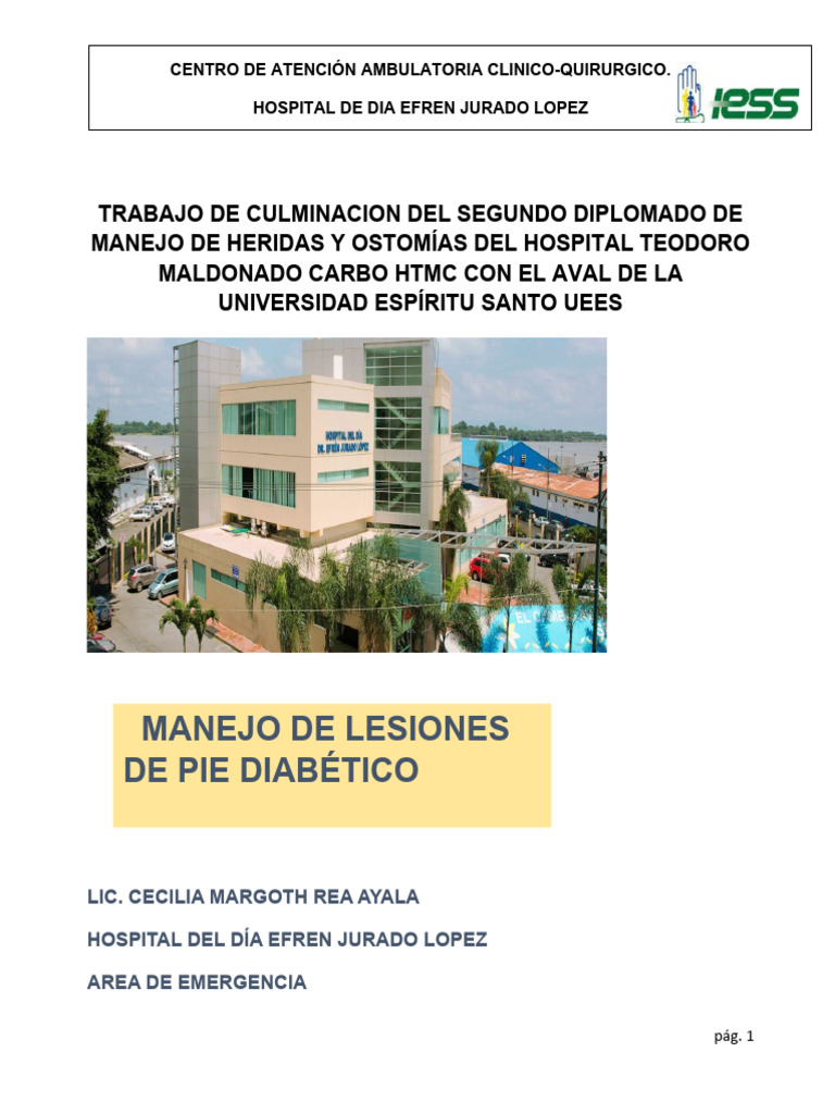 Protocolo Para Manejo De Pie Diabético Pdf Diabetes Herida