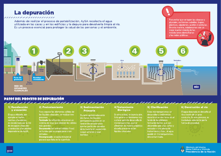 Afiches Proceso de Depuracion | PDF