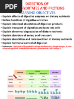 Digestive Enzymes Overview Chart | PDF