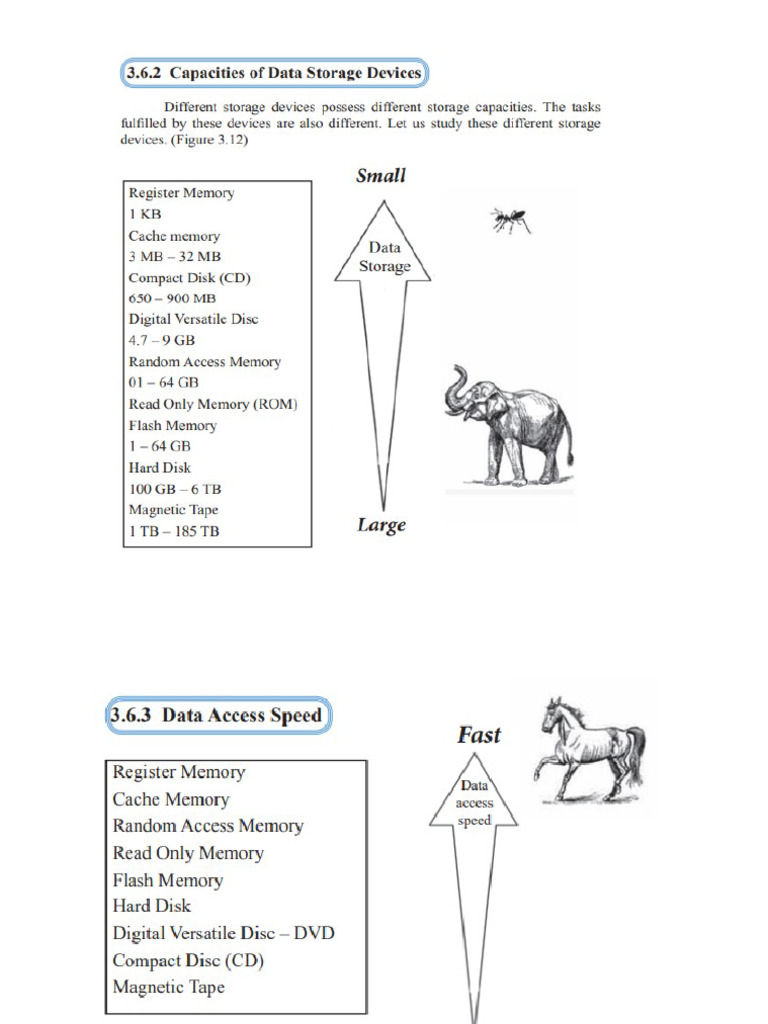 ICT Grade 10 Unit 03 | PDF