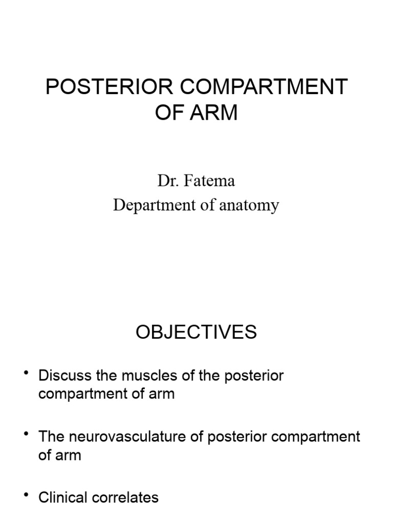 Posterior Arm Compartment Anatomy Guide | PDF | Arm | Elbow